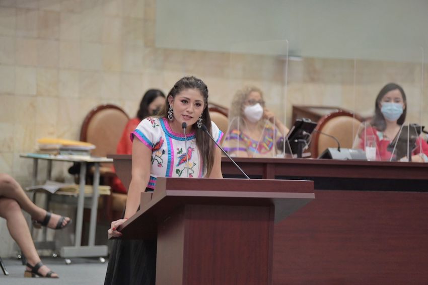 Diputada Liz Concha presenta iniciativa para que el 2022 sea “Año de ...