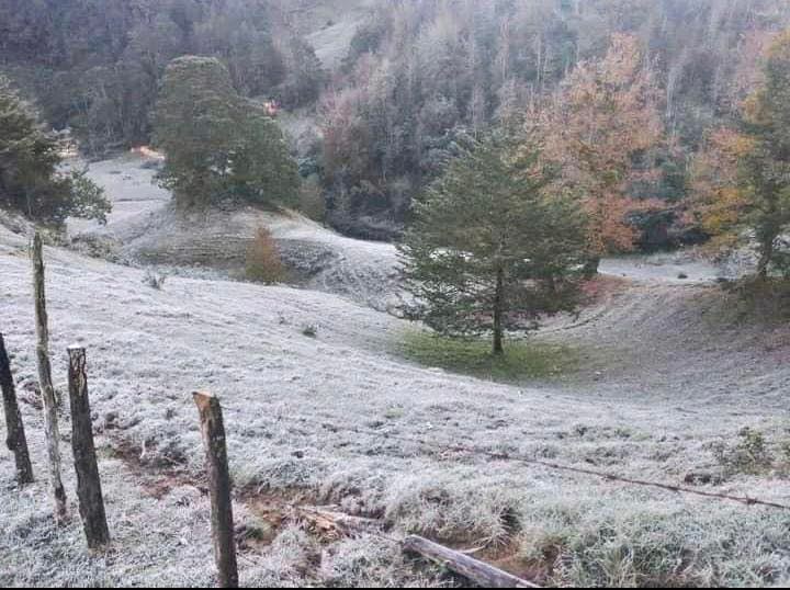 Posibilidad de heladas en zonas altas de Oaxaca - Ruta 135
