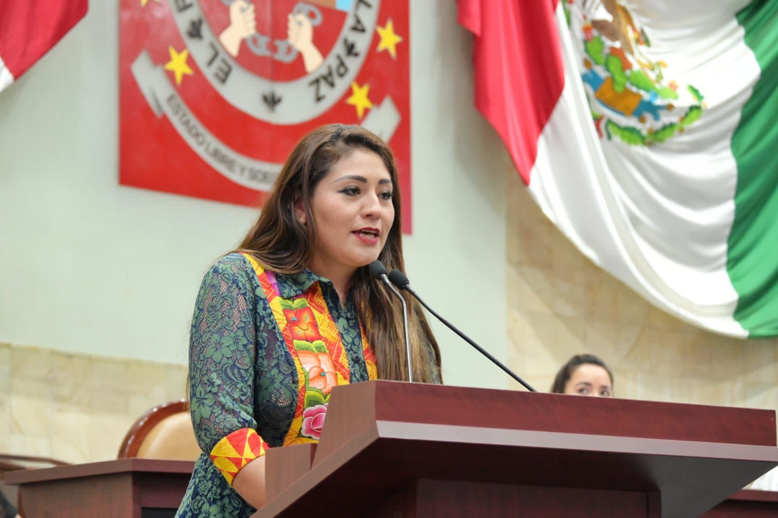 Propone Liz Concha que se destinen recursos para preservar y ...