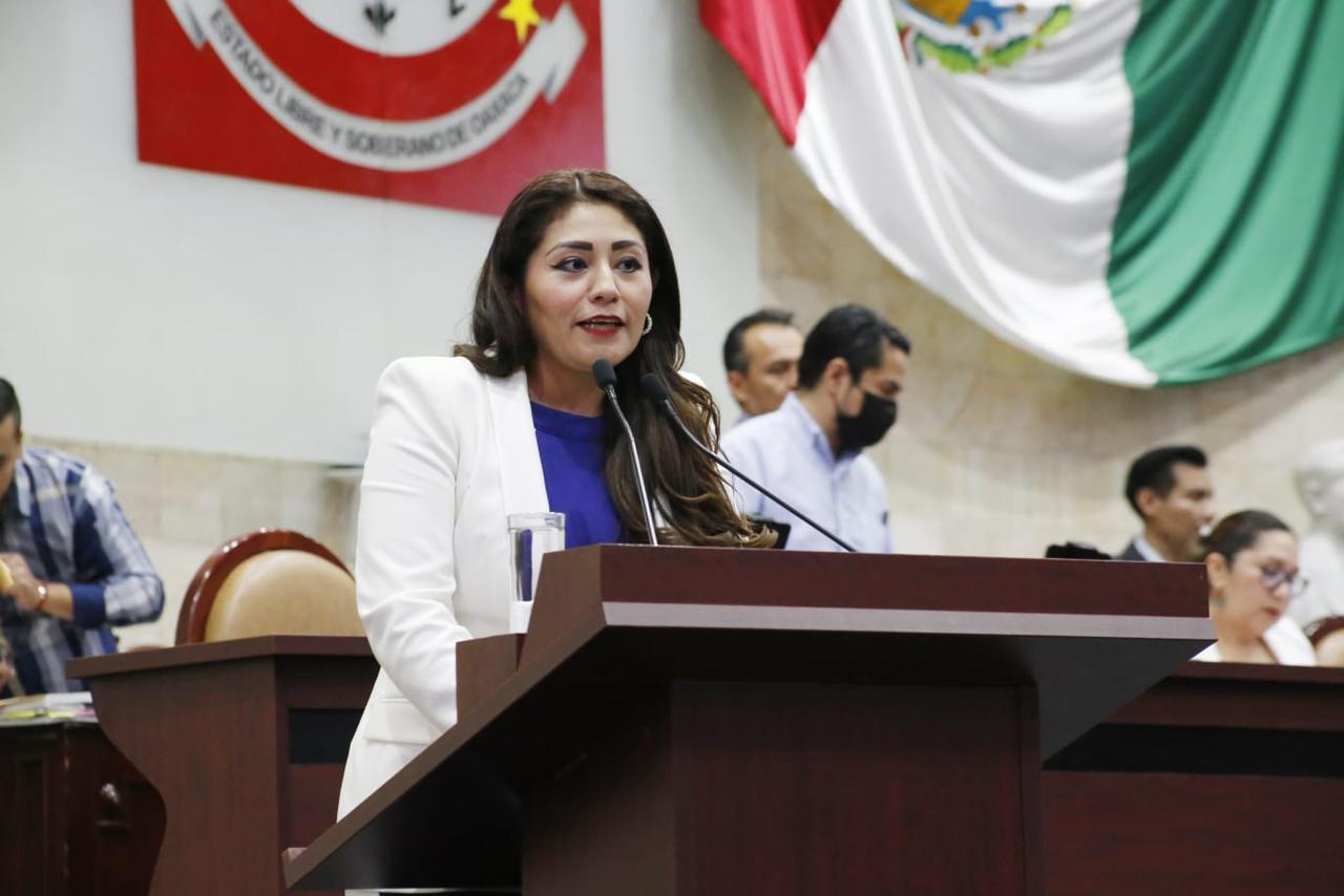 Liz Concha pide integrar el Observatorio de Género y Acoso Escolar en ...