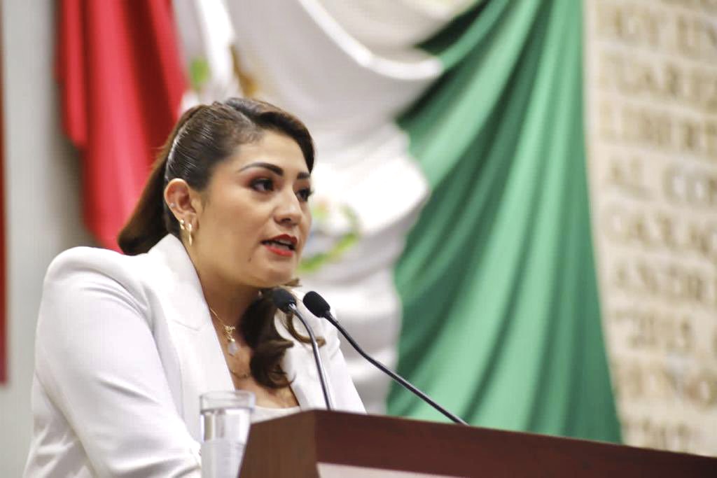 Aprueba Congreso iniciativa de Liz Concha para que obras del gobierno ...