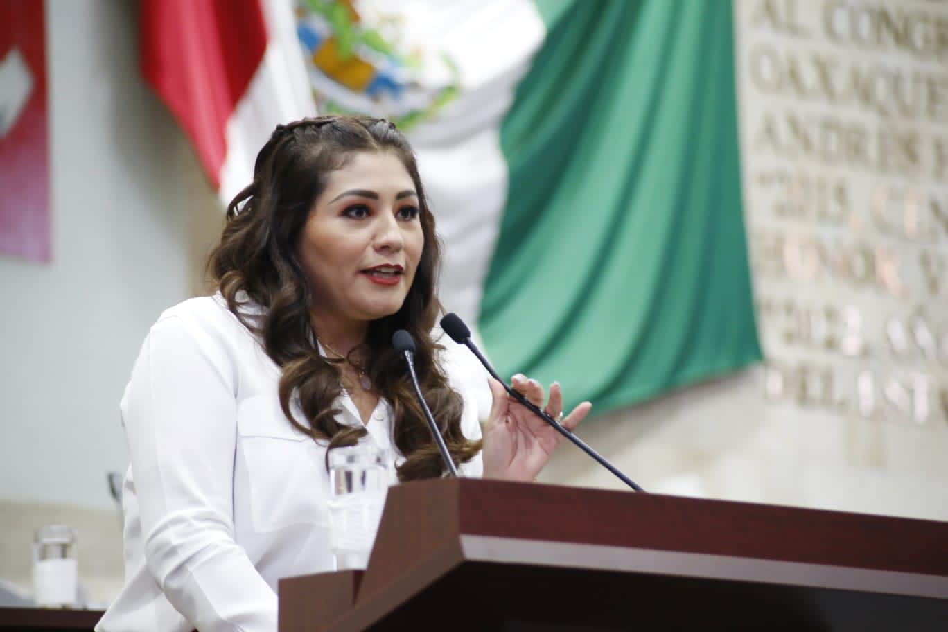 Liz Concha renuncia al PRI; “se ha convertido en un partido autoritario ...