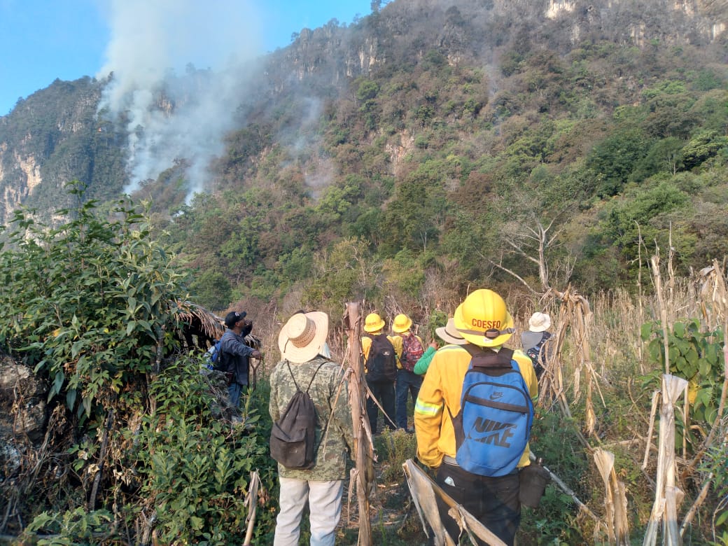 Combaten incendio en Putla Villa de Guerrero - Ruta 135