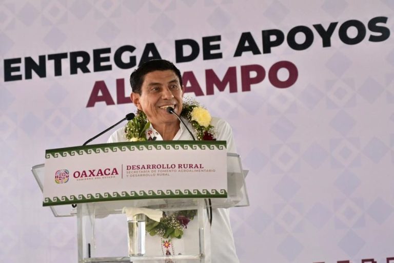 Invierte Primavera Oaxaqueña 79 mdp para transformar el campo en la ...
